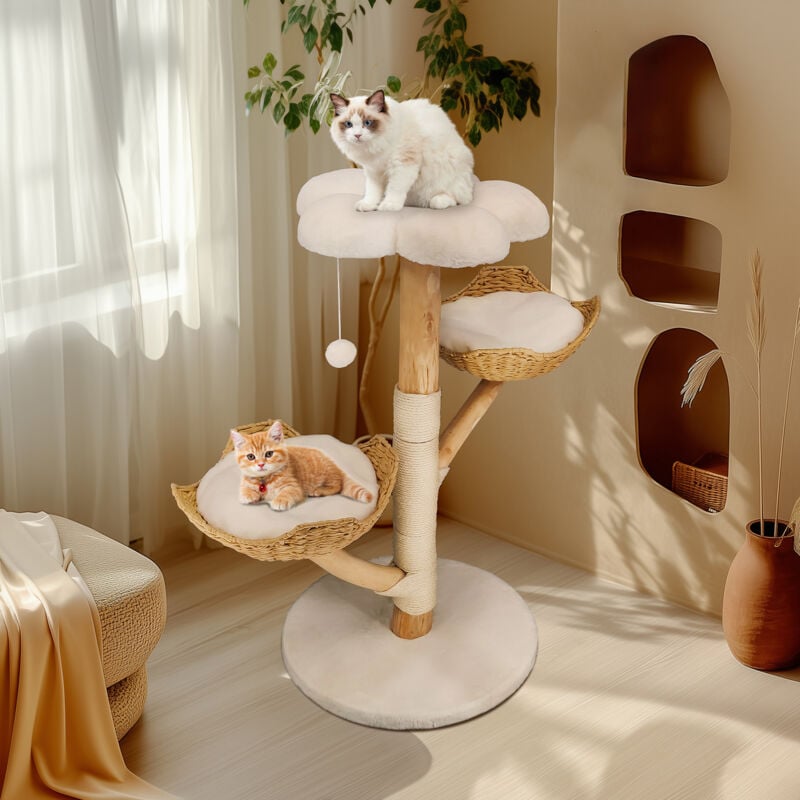 Cat climber store