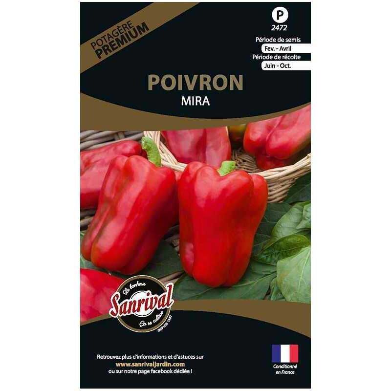 Graines potagères premium poivron Mira rouge allongé
