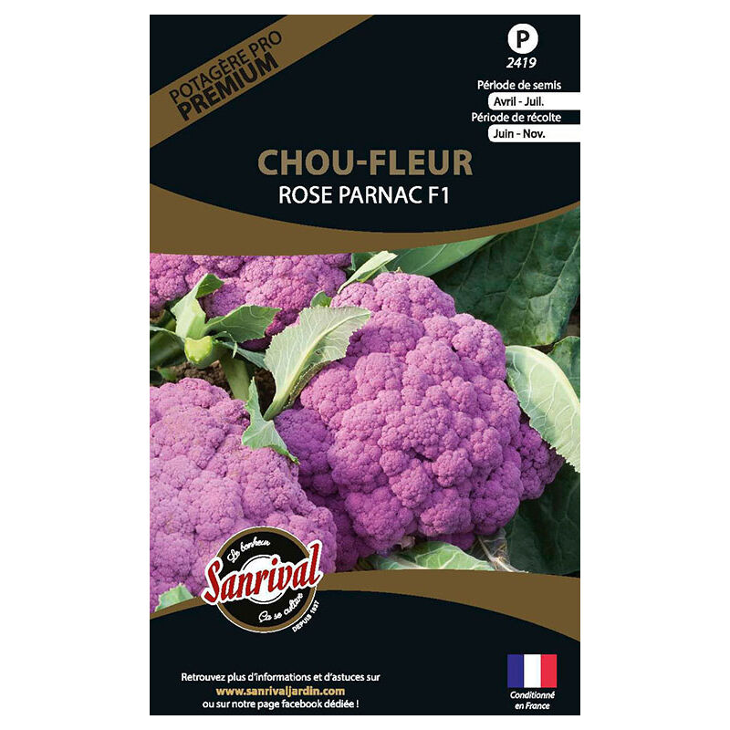Graines potagères premium chou Chou-fleurs Rose Parnac