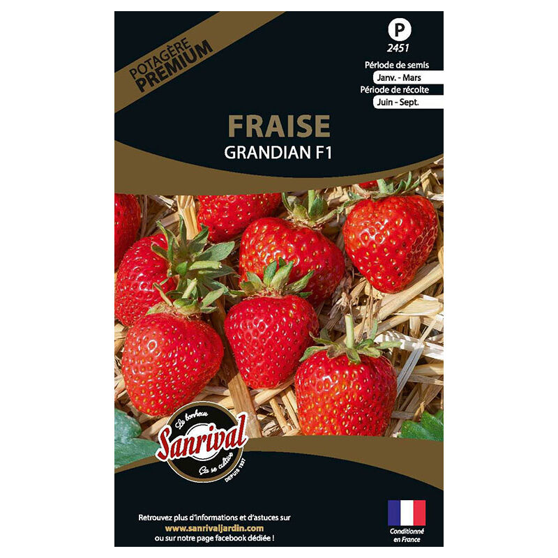 Graines potagères premium fraise Grandian