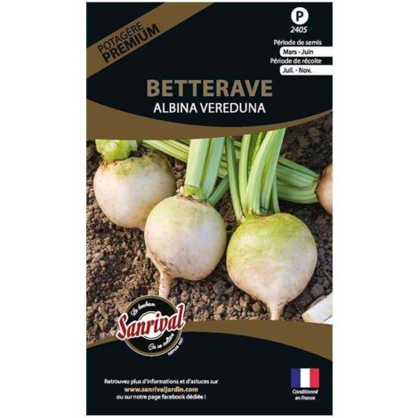 Graines potagères premium betterave Albina Vereduna