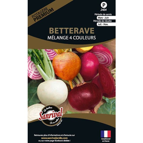 Graines potagères premium betterave Mélange 4 couleurs