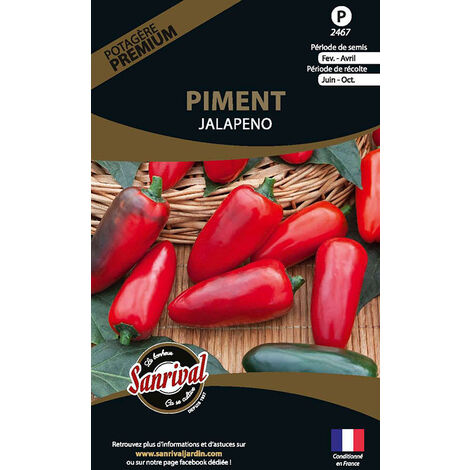 Graines potagères premium piment Jalapeno