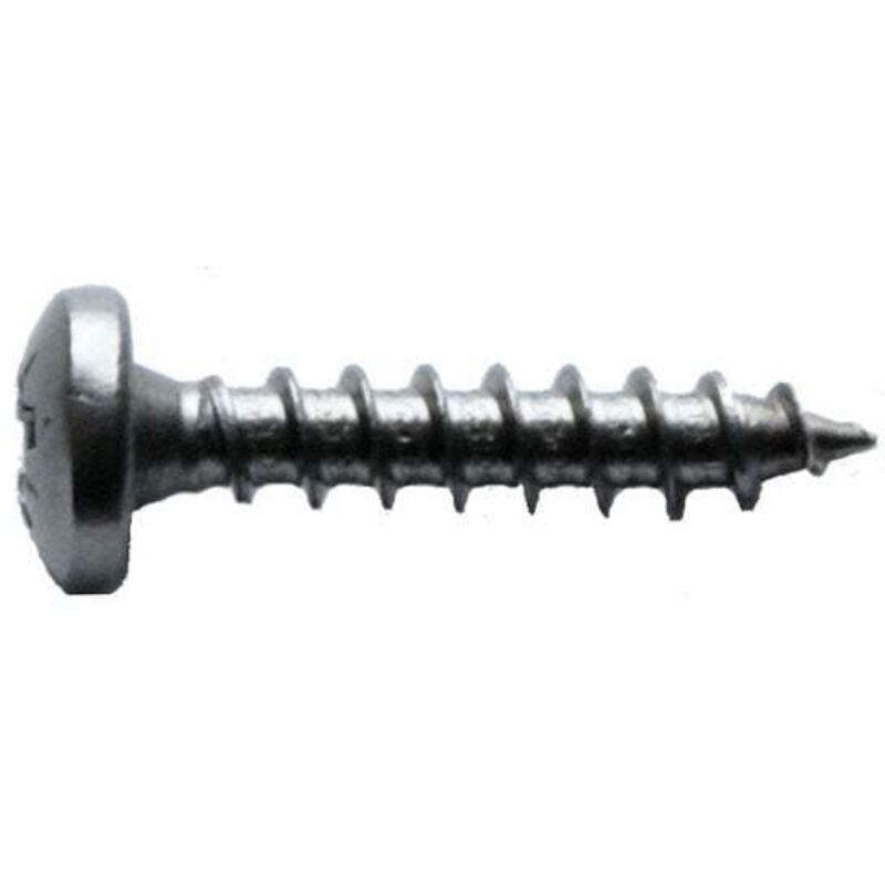 Vis Inox Cruciforme Tête Ronde 4x20mm Piscine