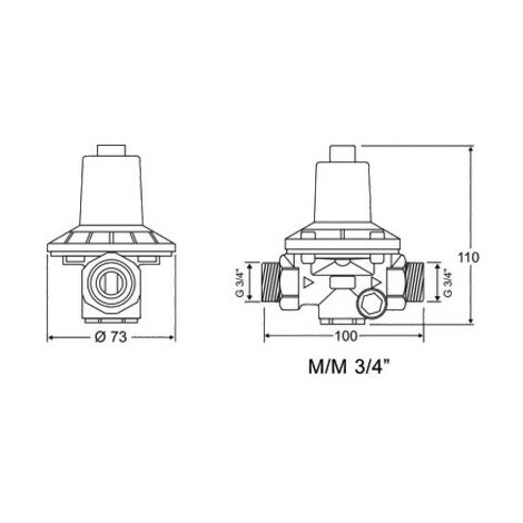 Réducteur de pression REDUPRESS 3 4 MM WATTS 81015