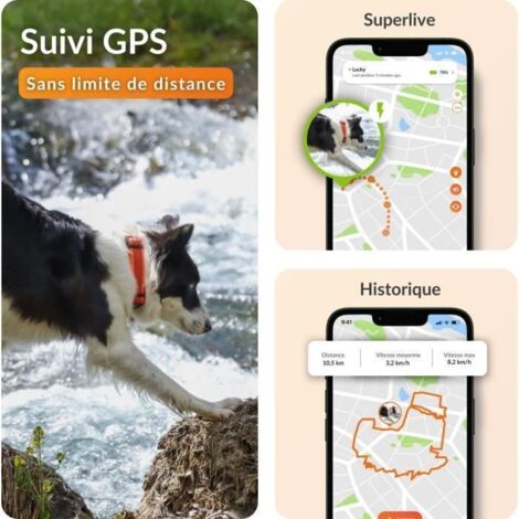 Collier GPS pour chien - WEENECT Chien XT - Antenne XL - Etanche ...