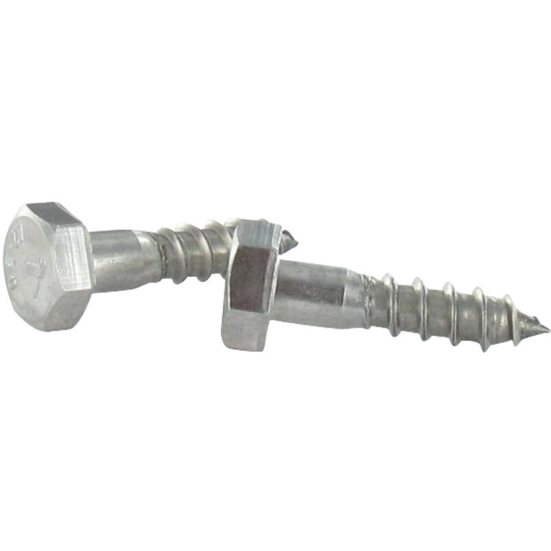 Tirefonds Inox A4 10X80-1 pièce
