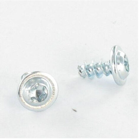 Vis PVC Inox A2 Poelier tête ronde large Tête ronde large 4X25 TORX T20 ...