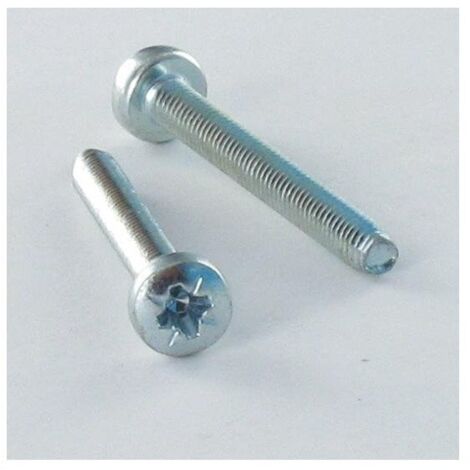 Vis autotaraudeuse Tête cylindrique large TCL Pozi 4X12 Acier zingué-1 piece