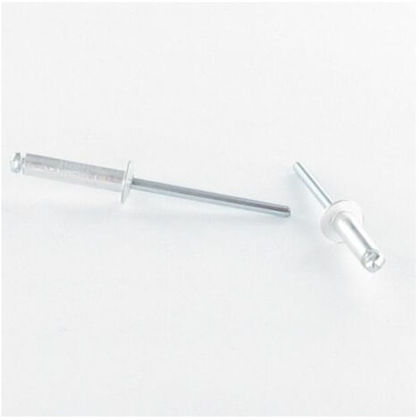 Rivet Inox A2 3.2X8 Tête Plate-1 piece