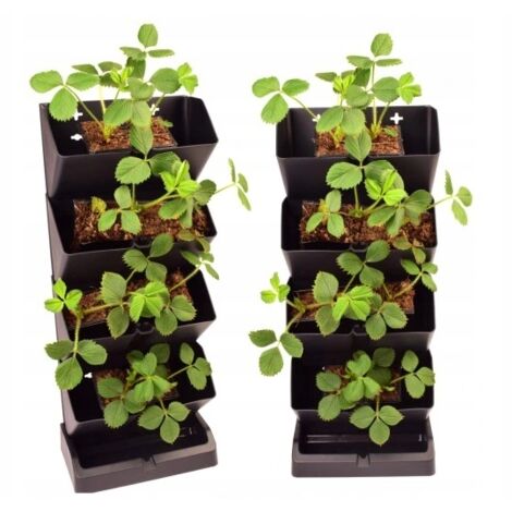 Jardinière verticale Prosperplast Mini Cascade en plastique de couleur anthracite 19,5 (L) x 11 ...