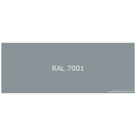 Pintura brillante en aerosol 400ml, gris plata, RAL 7001