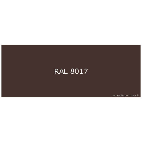 Pintura brillante en aerosol 400ml, chocolate, RAL 8017