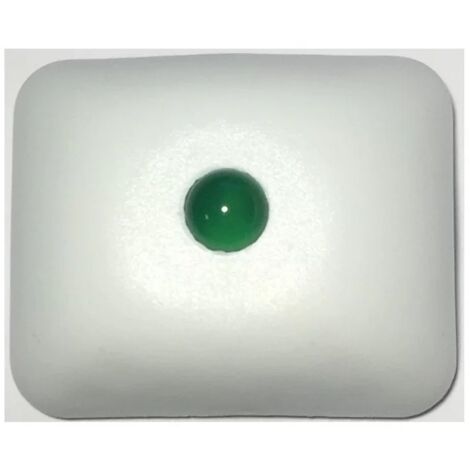 Neutronic NIACS Indicateur d'action VERT clignotant et sonore
