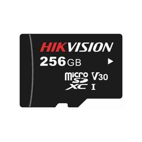 HS-TF-P1/256G - MICRO SD 256 GB FUNZIONI INTELLIGENTI