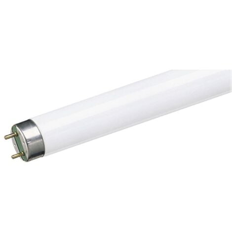 E TUBO FLUORESCENTE 15W L54