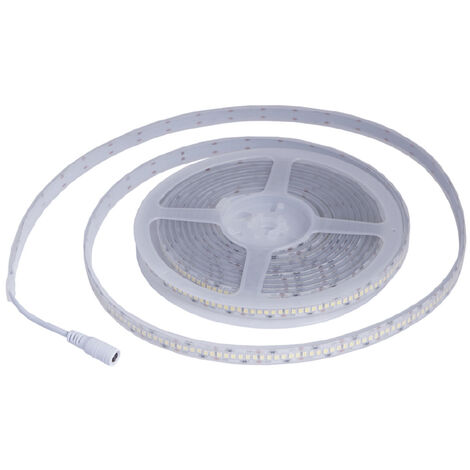 Striscia led 24V ip65 con nuova siliconatura 240 led/mt 45w luce ...