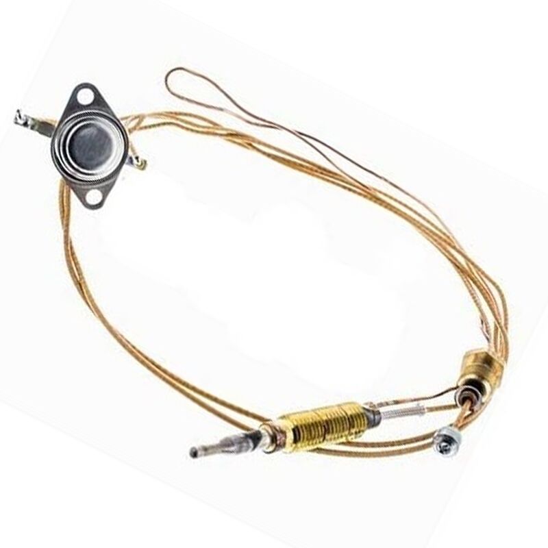 Thermopar Caldera Cointra avec thermostat M15 20 7576