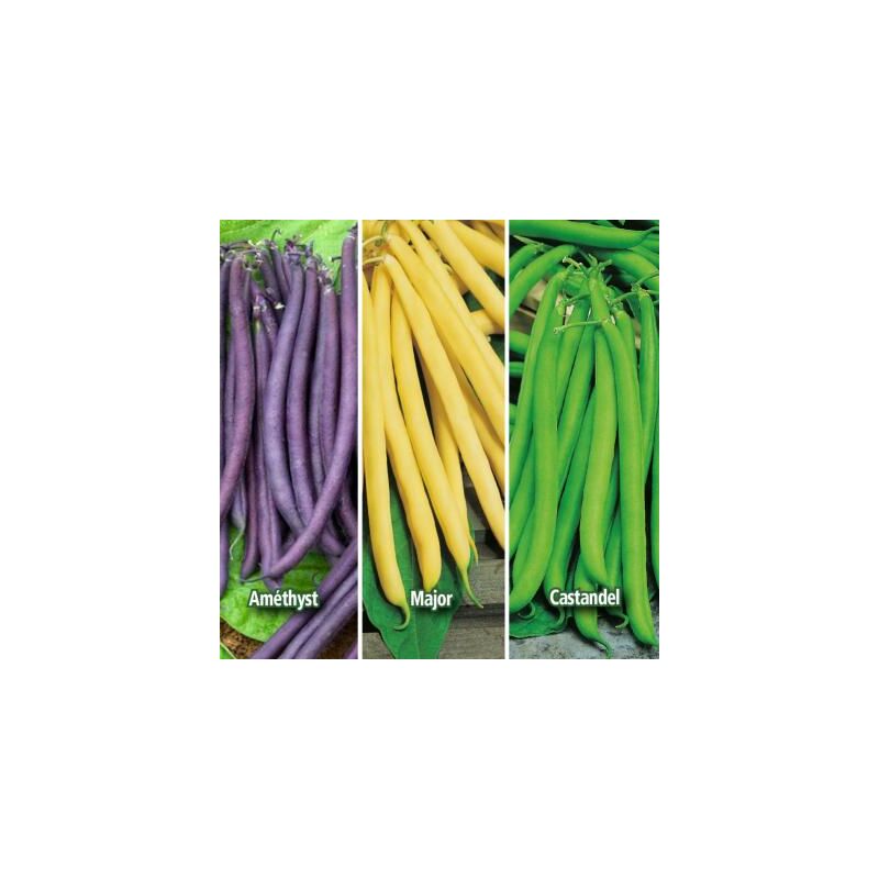 ASSORTIMENT D'HARICOTS - 450 G