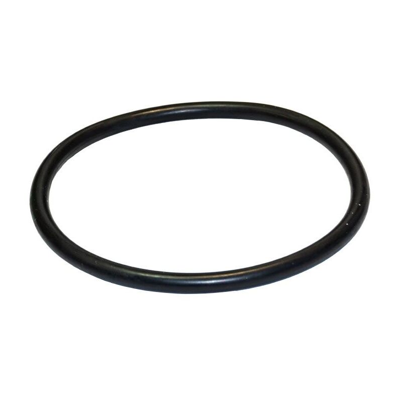 Junta torica del prefiltro de la bomba Optima ( 97,8 x 5,34 ) de Saci Pumps