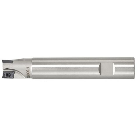 Fraser einsetzen Fervi f300/22