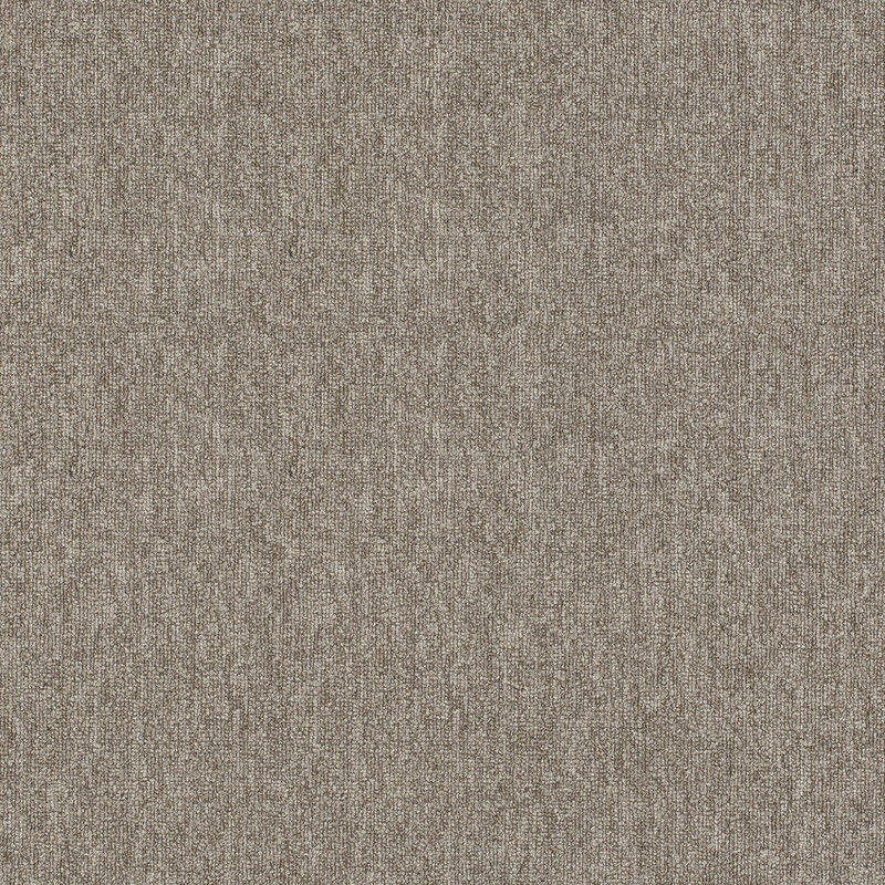 Dalle Moquette velours bouclé- plombante- Avenue 610