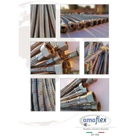 Motosega Castor CP 300 0,90 kW 25,4 cc due tempi accensione elettronica ...