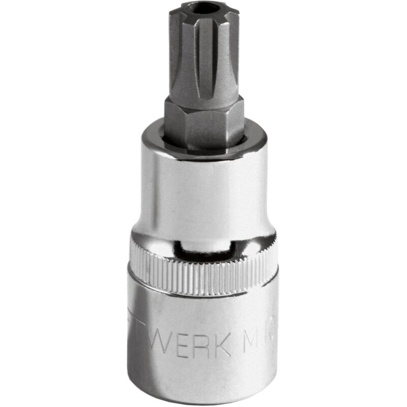 1/2" Loch-RIBE-Bit-Stecknuss M10