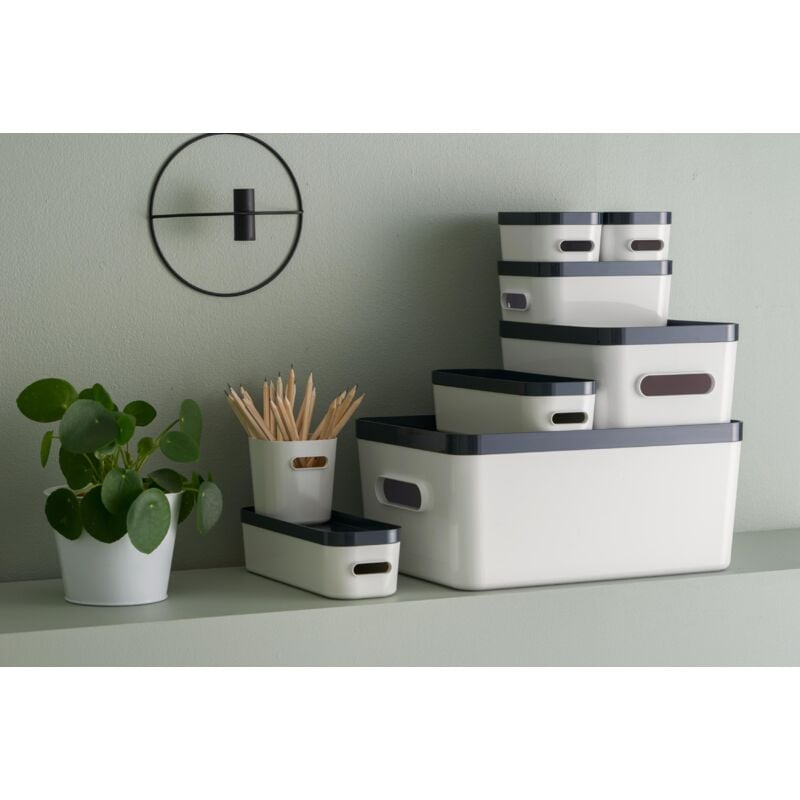 Aufbewahrungsbox "SmartStore Compact" Slim"