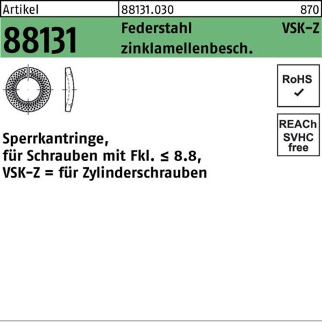 Sperrkantring R 88131 VSK-Z 8 x12,7 x2 Federstahl zinklamellenbeschichtet