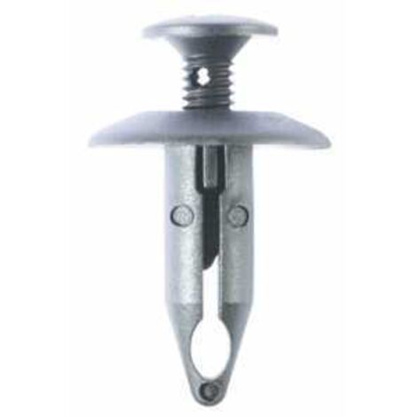 Push-Type-Clip für Ford,10er Pack