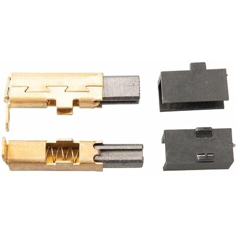 Triton Carbon Brush Assembly Pair - TSPS450 & TSPST450