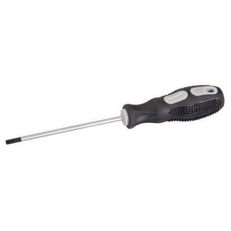 Silverline General Purpose Screwdriver Trx - T20 x 100mm