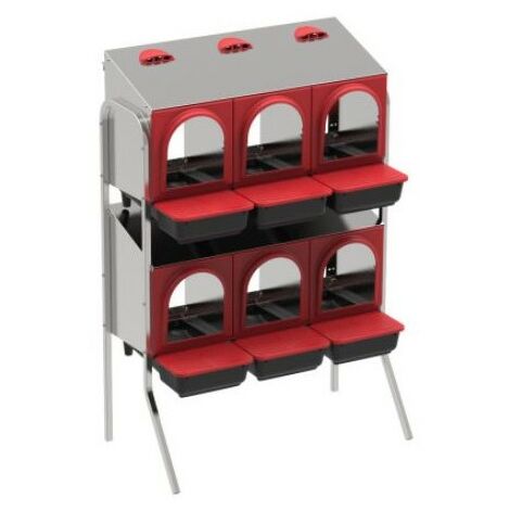 Nido per Galline 6 Compartimento con Gambe, 82 x 47 x 123 cm. Ponedero ...