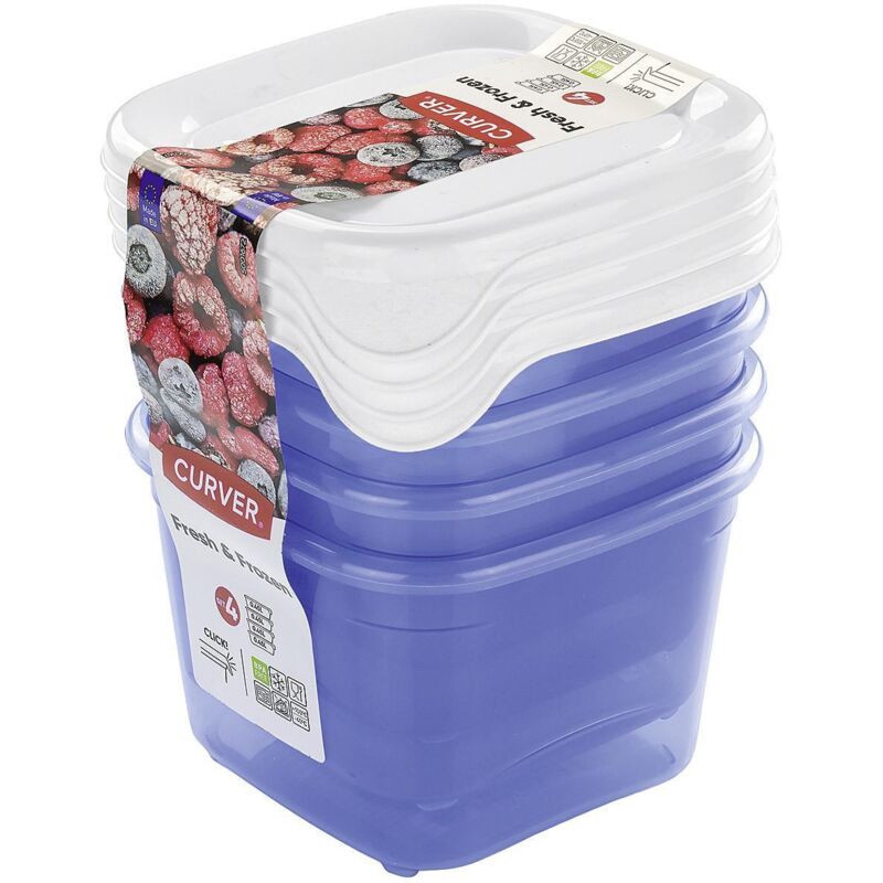 Boîte de congélation « fresh & frozen » lot de 5 translucide bleu / blanc