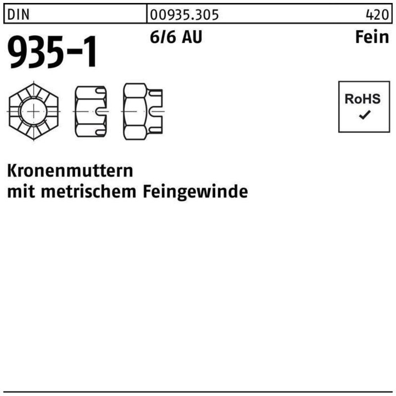 DIN 935-1