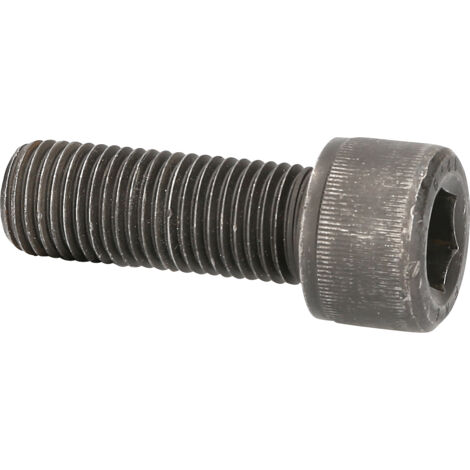 Vis M22 x 60 mm