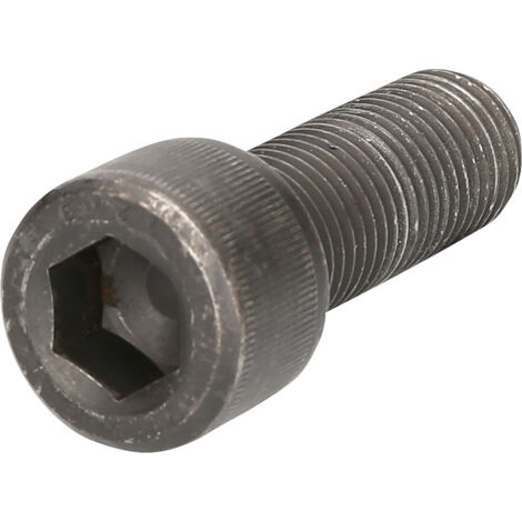Vis M22 x 60 mm