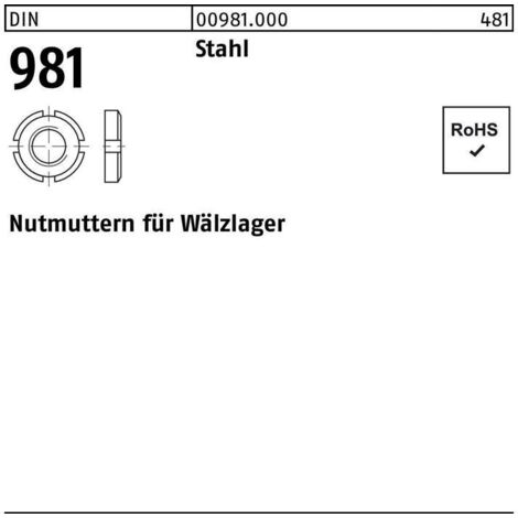 DIN 981