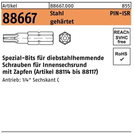Embout R 88667 Innensechsrund m.Zapfen