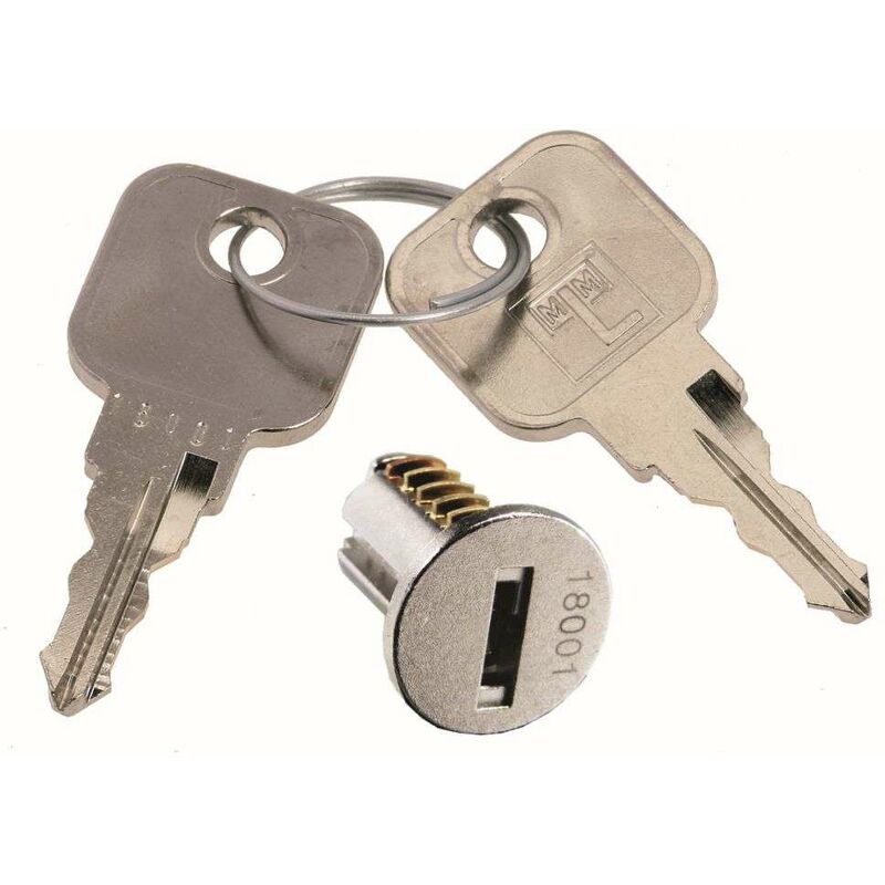 Barillet de remplacement pour serrures LEHMANN avec 2 clés métalliques ...