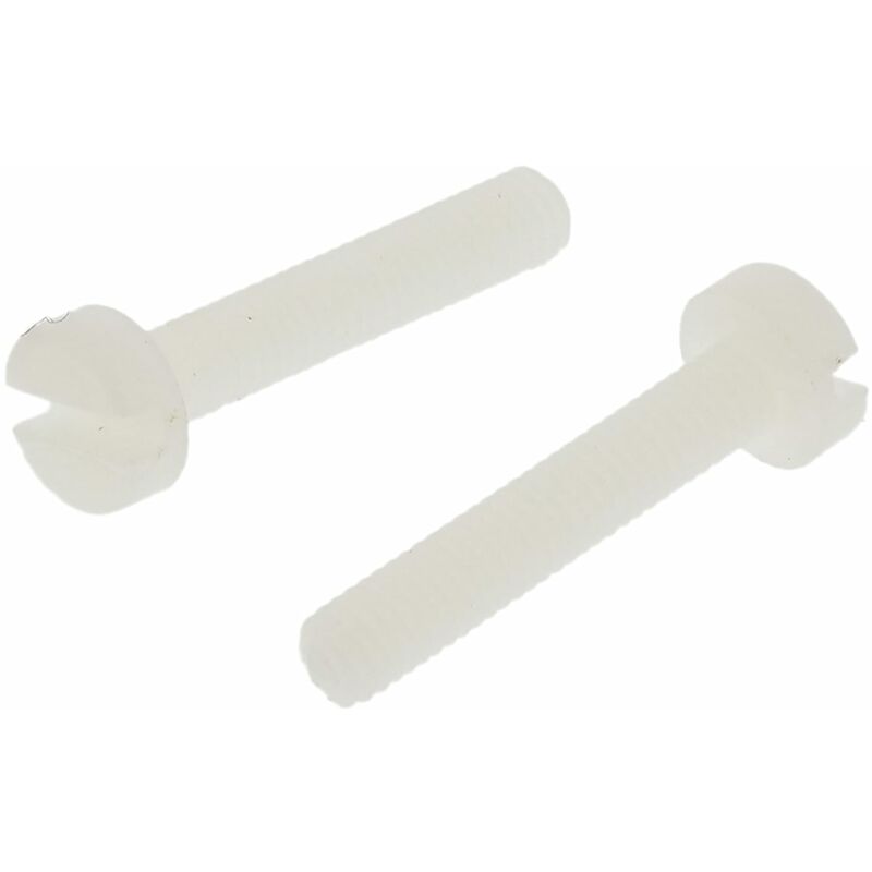 Vis à métaux RS PRO M3 à tête Cylindrique fendue en Nylon, 16mm ( Prix ...