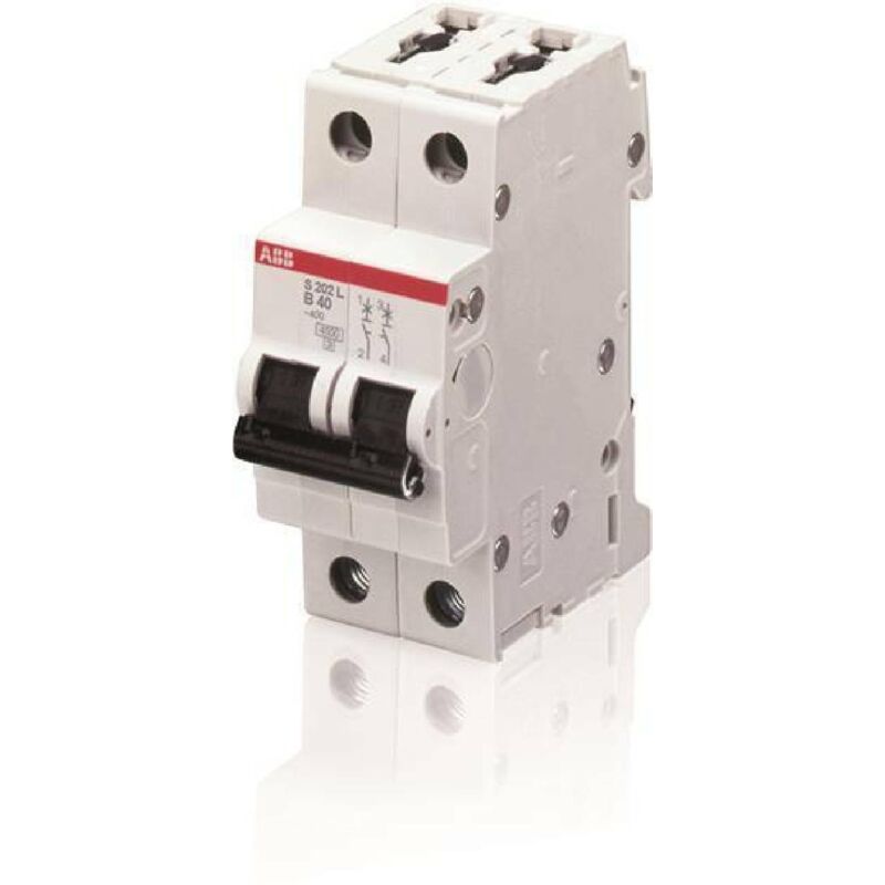 Disjoncteur ABB S200L 2P, 10A, pouvoir de coupure 6 kA, montage rail DIN ( Prix pour 1 )