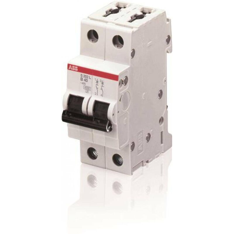Disjoncteur ABB S200L 2P, 16A, pouvoir de coupure 6 kA, montage rail DIN ( Prix pour 1 )