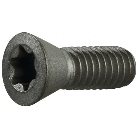 Vis de serrage taille T20 pour taille du panneau TCMT 16/SCMT 12 adapté ...