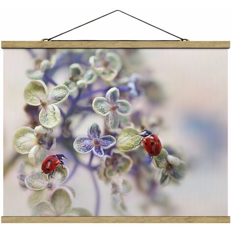 Imagen de tela - Ladybug In The Garden - Apaisado 3:4 Dimensión LxA: 37 ...