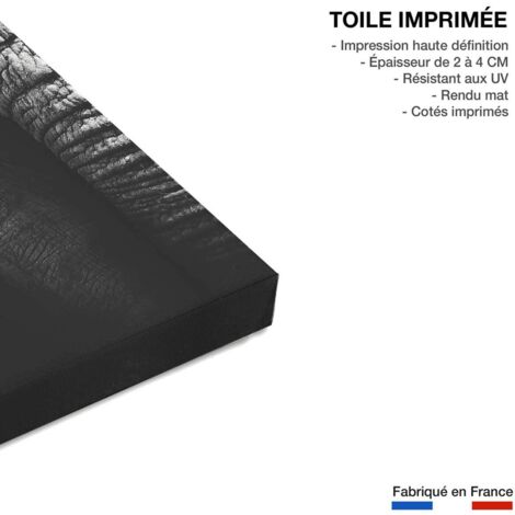 Tableau photo éléphant Toile imprimée