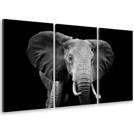 Tableau Elephant du Botswana - 80x50cm - made in France