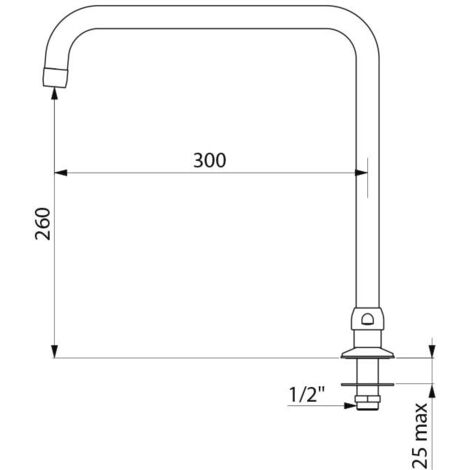 Delabie Schwenkauslauf D22 H260 L300mm