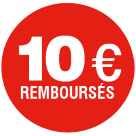 Mini-scie RYOBI RCT4-120G - 4V - 1 Batterie 2.0Ah - Câble USB C